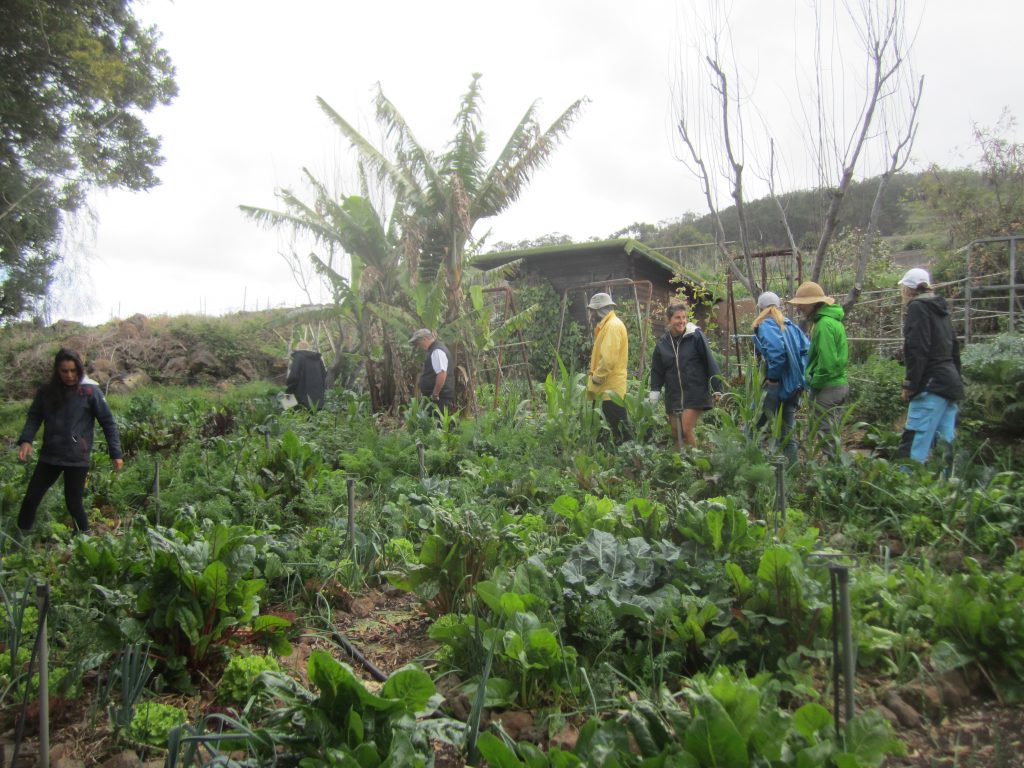 PERMIND TRAINING GUIDE METHODOLOGY | PERMIND